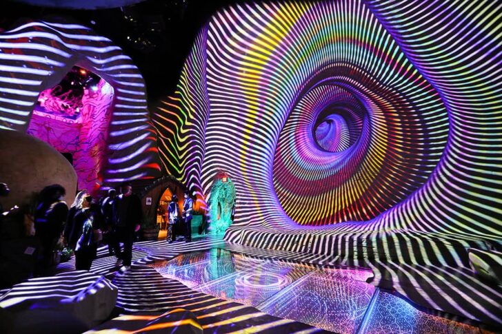 Meow Wolf Las Vegas - What You Need to Know Before You Go