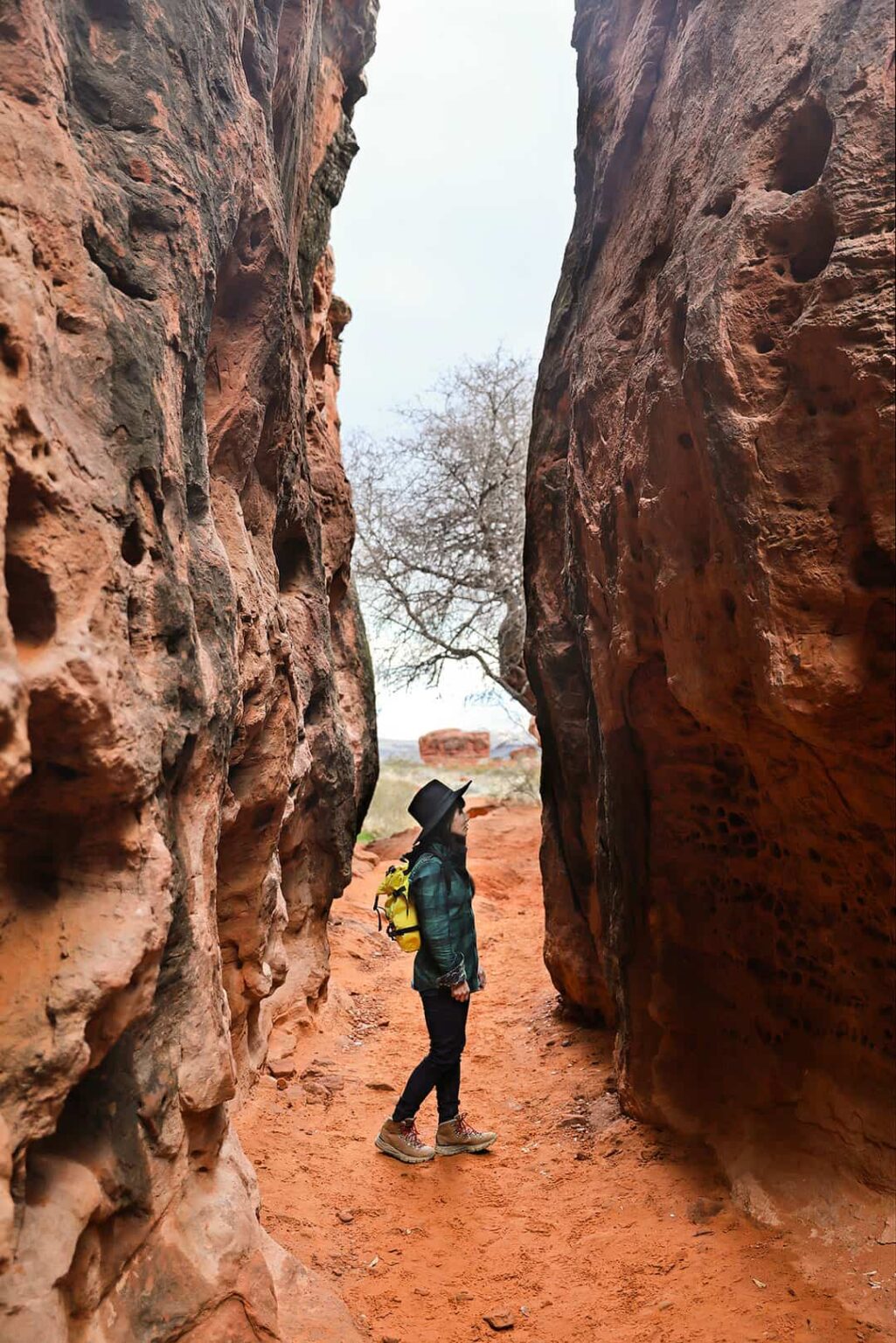 15+ Best Things to Do in St George Utah » Local Adventurer
