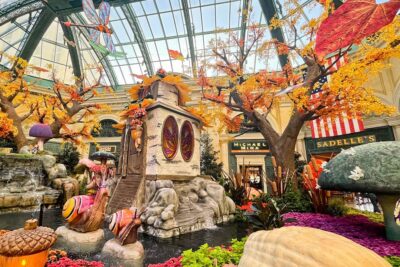 Bellagio Conservatory & Botanical Gardens - What You Need to Know