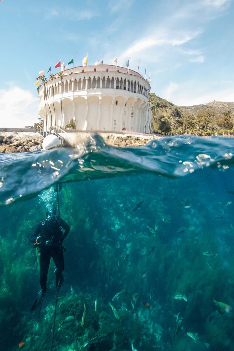 Your Guide to the Best Scuba Diving in USA » Local Adventurer