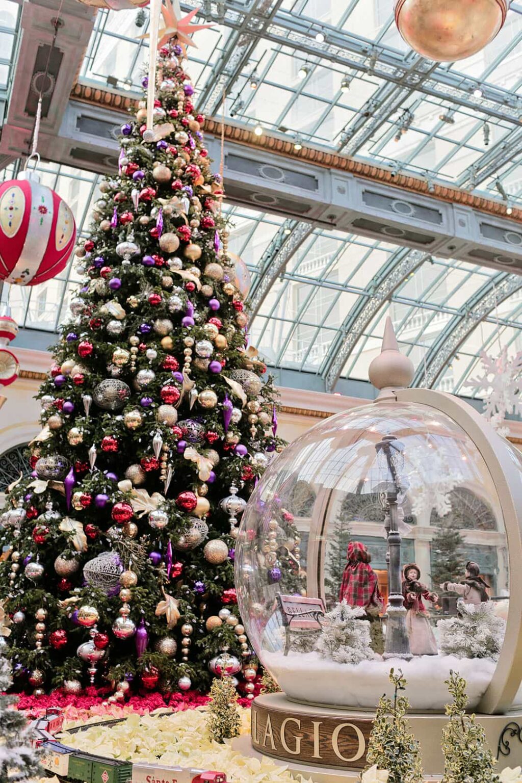 Christmas at the Bellagio Botanical Gardens 2024-2025 » Local Adventurer