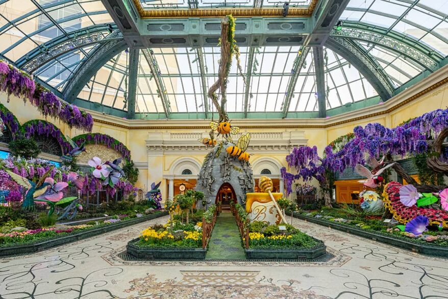 Bellagio Conservatory & Botanical Gardens - Your Complete Guide