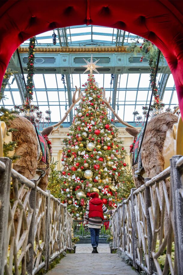 Bellagio Conservatory & Botanical Gardens - Your Complete Guide