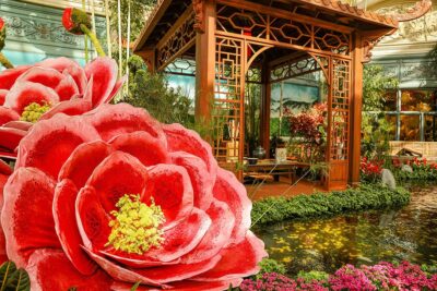 Bellagio Conservatory & Botanical Gardens - What You Need to Know