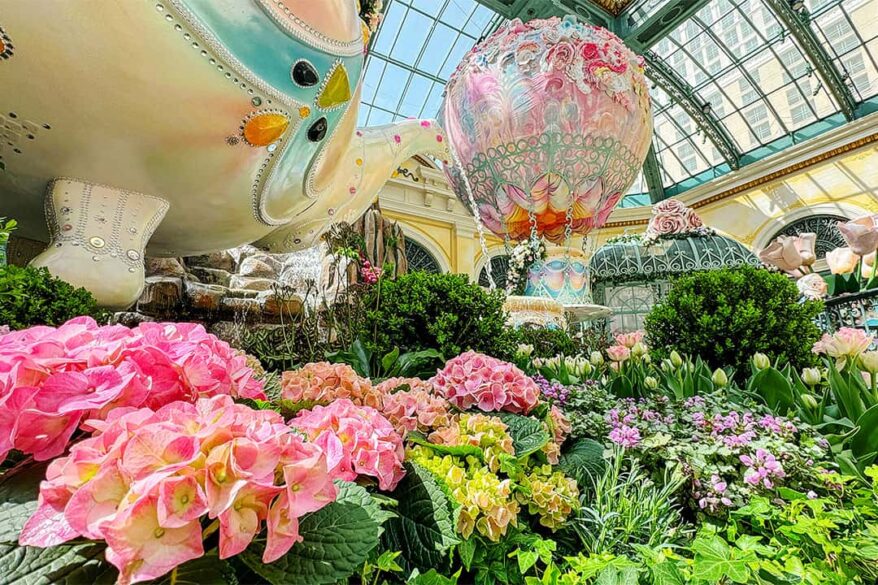 Bellagio Conservatory & Botanical Gardens - Your Complete Guide