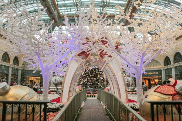 Christmas at Bellagio Botanical Gardens >> Local Adventurer