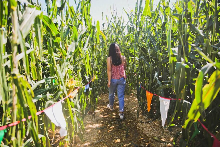 Gilcrease Orchard in Las Vegas - What You Need to Know » Local Adventurer