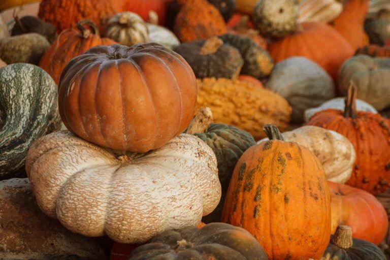 Gilcrease Orchard in Las Vegas - What You Need to Know » Local Adventurer