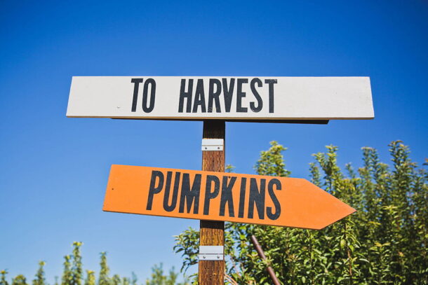 Gilcrease Orchard in Las Vegas - What You Need to Know » Local Adventurer