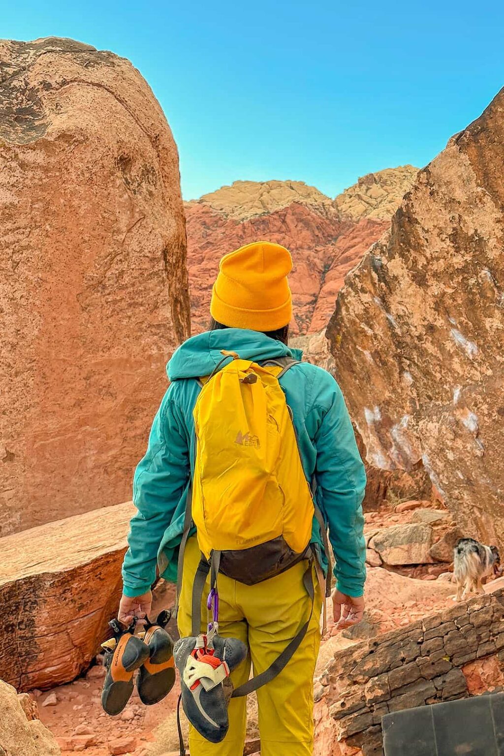 25 Best Gifts for Hikers They'll Use and Love 2025 » Local Adventurer