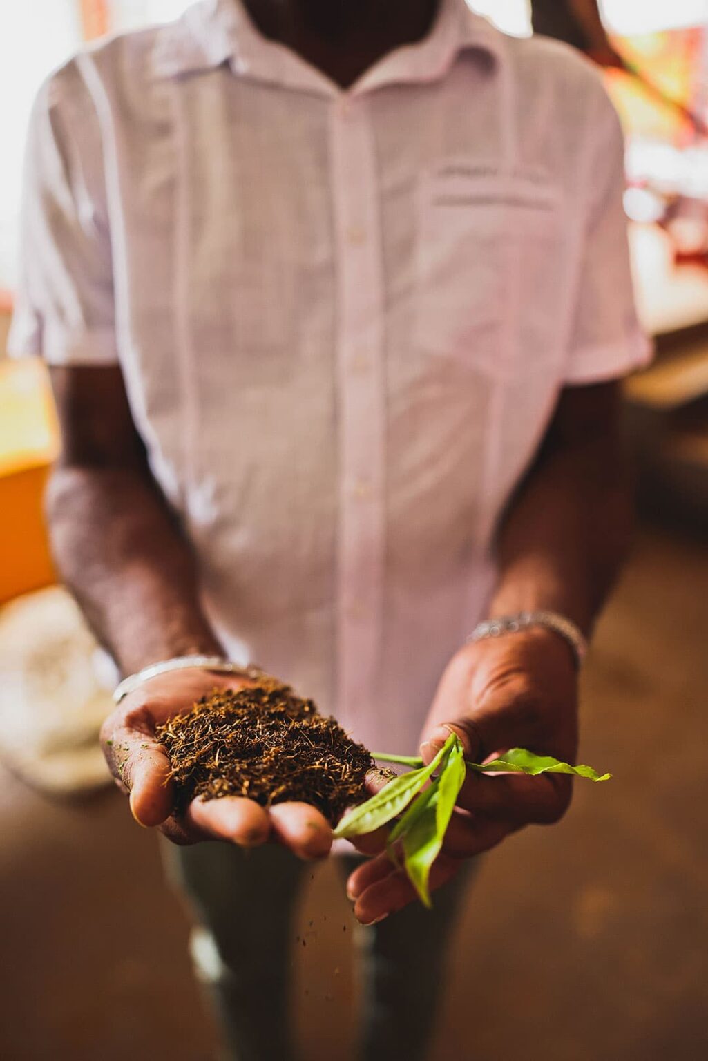 17 Things You Must Know Before Visiting Mauritius Travel Tips