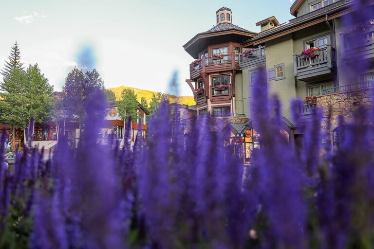 15 Exciting Things to Do in Vail in Summer » Local Adventurer