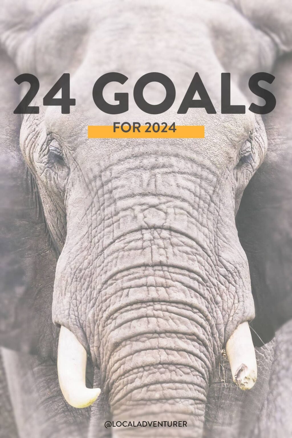 24 Goals for 2024 - Year of Reinvention » Local Adventurer